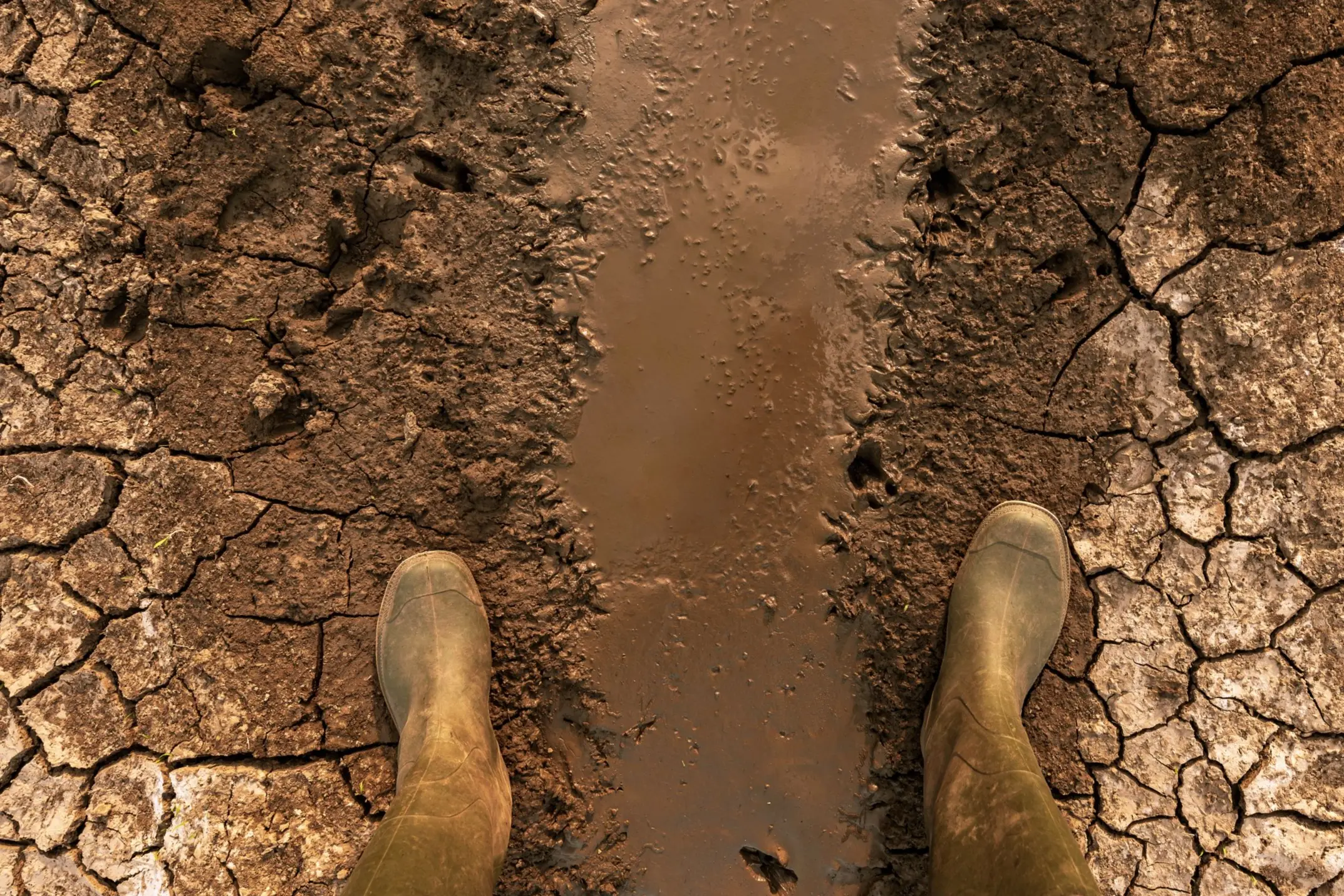 Spain: new labor measures for companies due to climate change