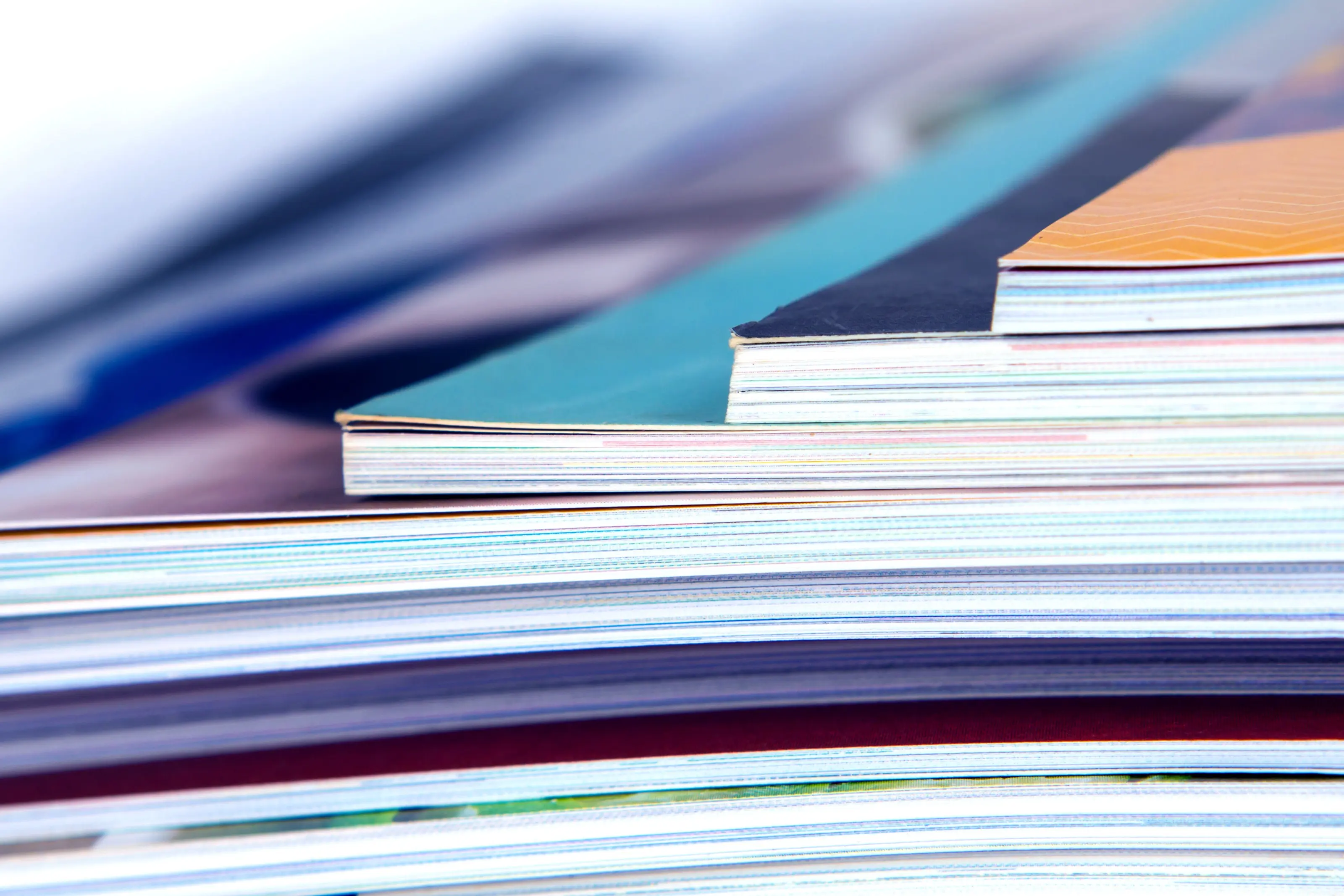 National Anti-Corruption Mechanism Guidelines 1/2024