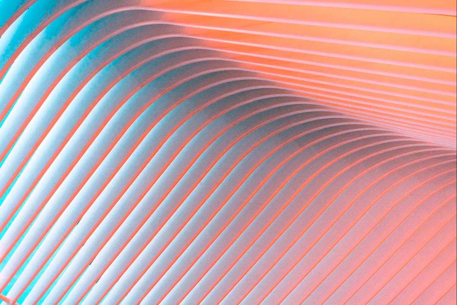 Newsletter Labor and Employment | Q3 2024