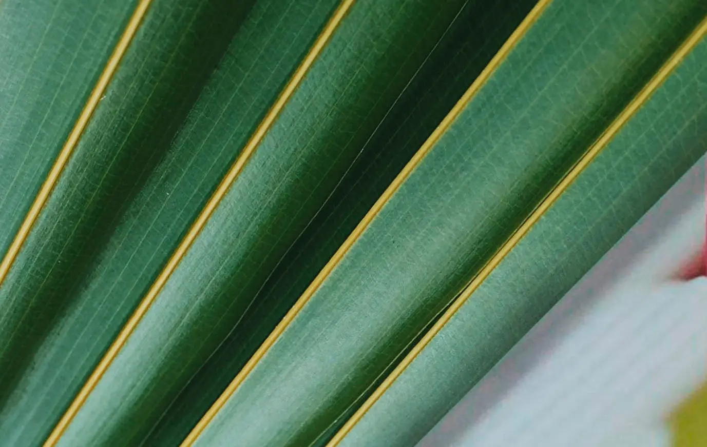 Review of the National Energy and Climate Plan 2030 (PNEC 2030)