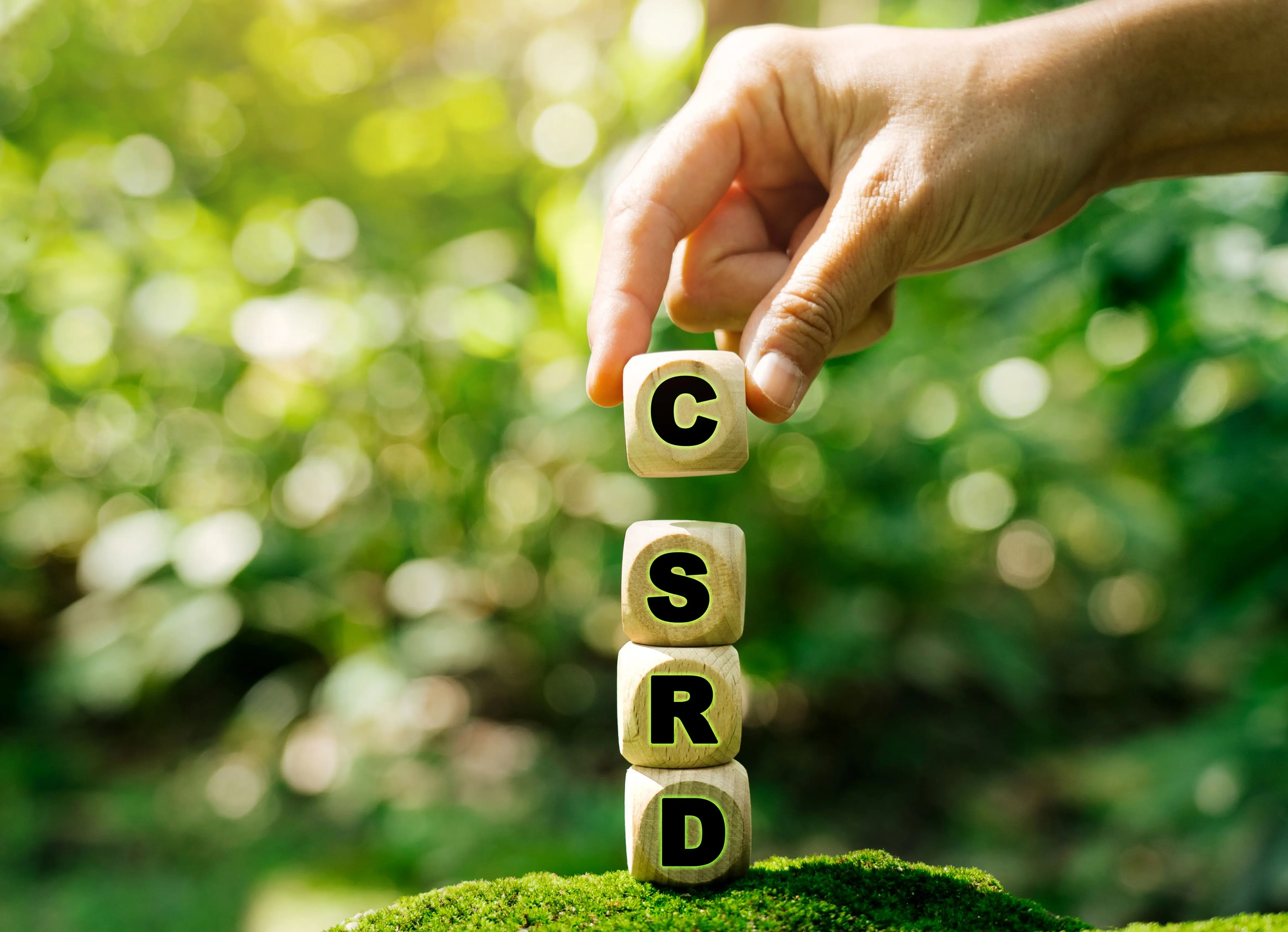 ESRS lanza su primer lote de estándares de calidad